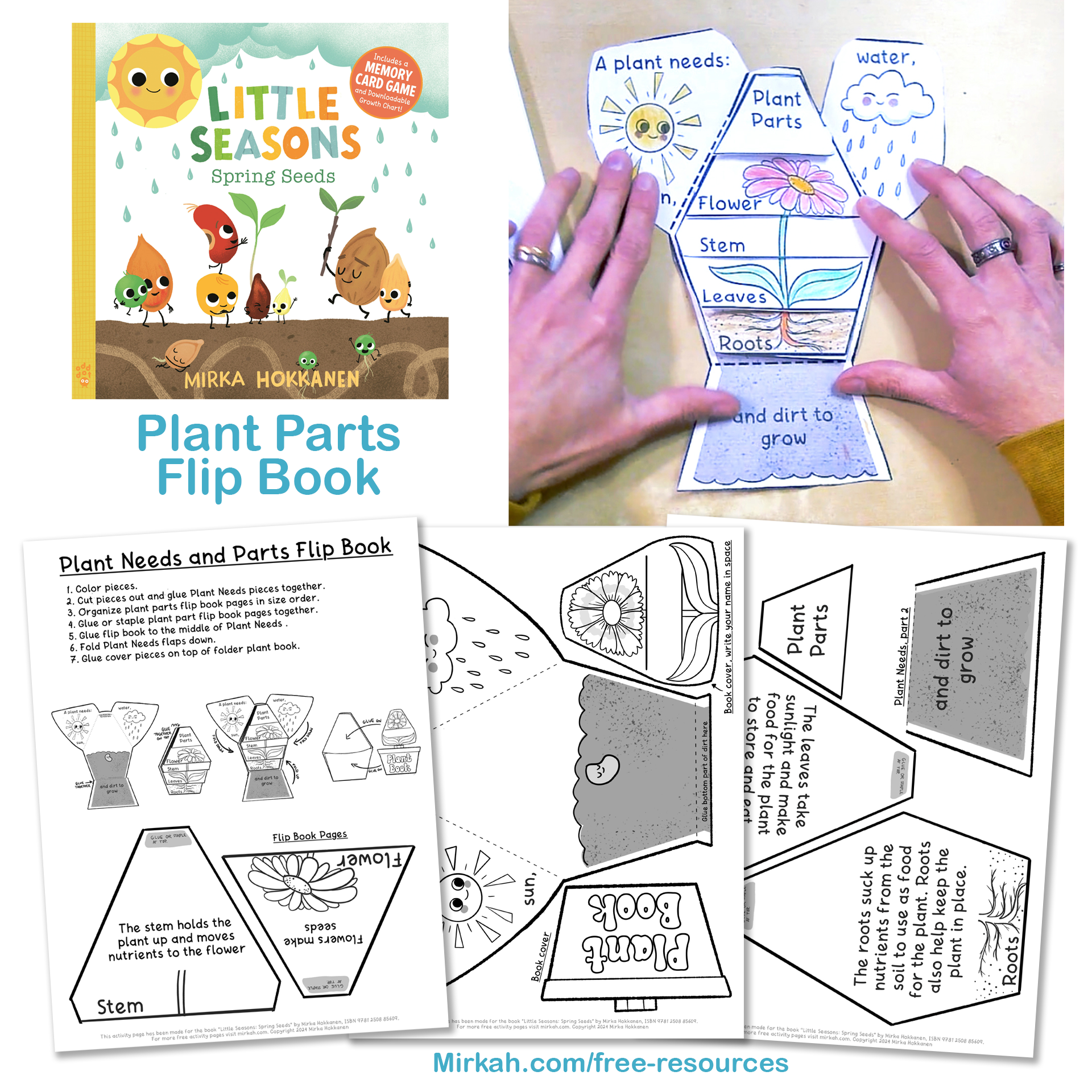Free Plant Life Cycle Resources for Teachers — Mirkah