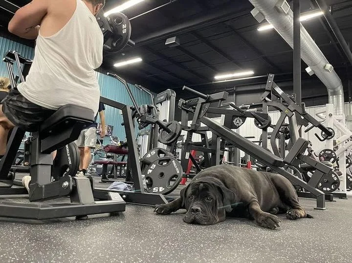 Fresh Fitness Training Center