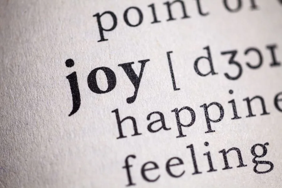 What is the Difference Between Joy and Happiness? — Happiness Posts