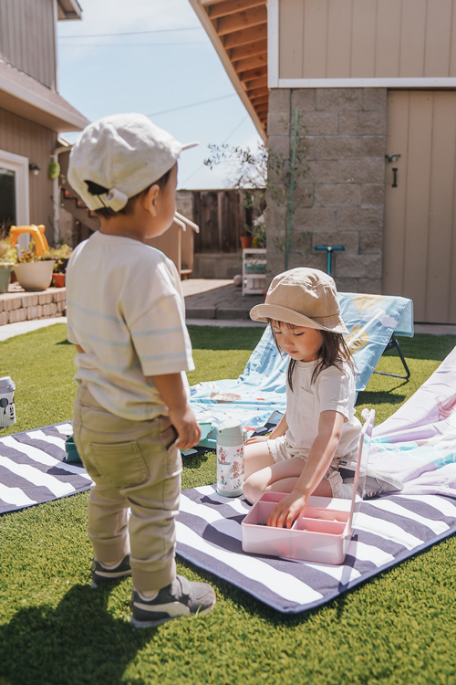 Simple Picnic Setup Ideas That Feel Like a Mini Vacation — Chesley Carele