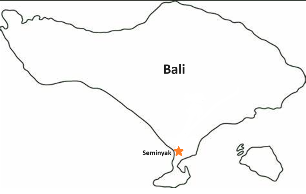 Girls only Bali Shopping Tour — Pink Pelican Tours | Specialised ...