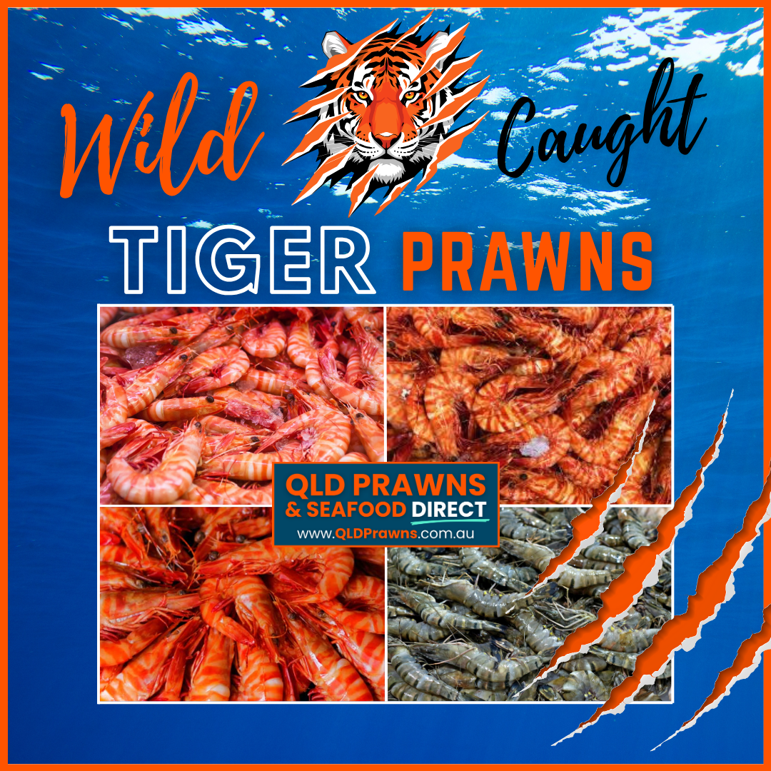 QLD Prawns & Seafood Direct | QLDPrawns.com.au