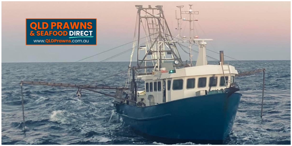 QLD Prawns & Seafood Direct | QLDPrawns.com.au
