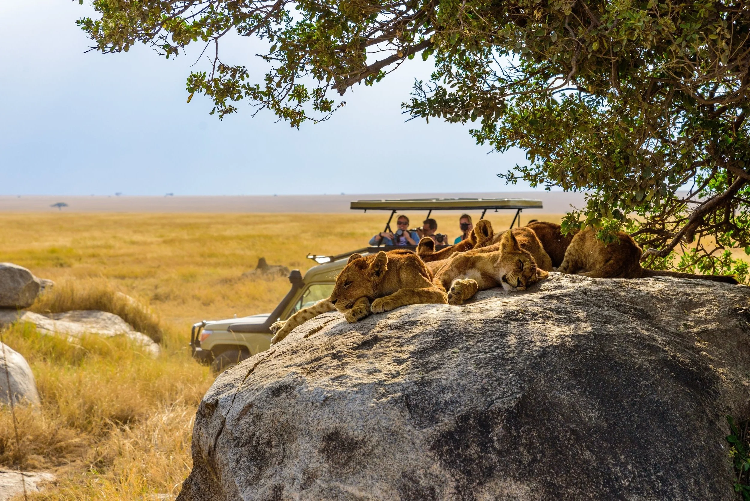 Classic Kenya Road Safari — Southern Cross Safaris