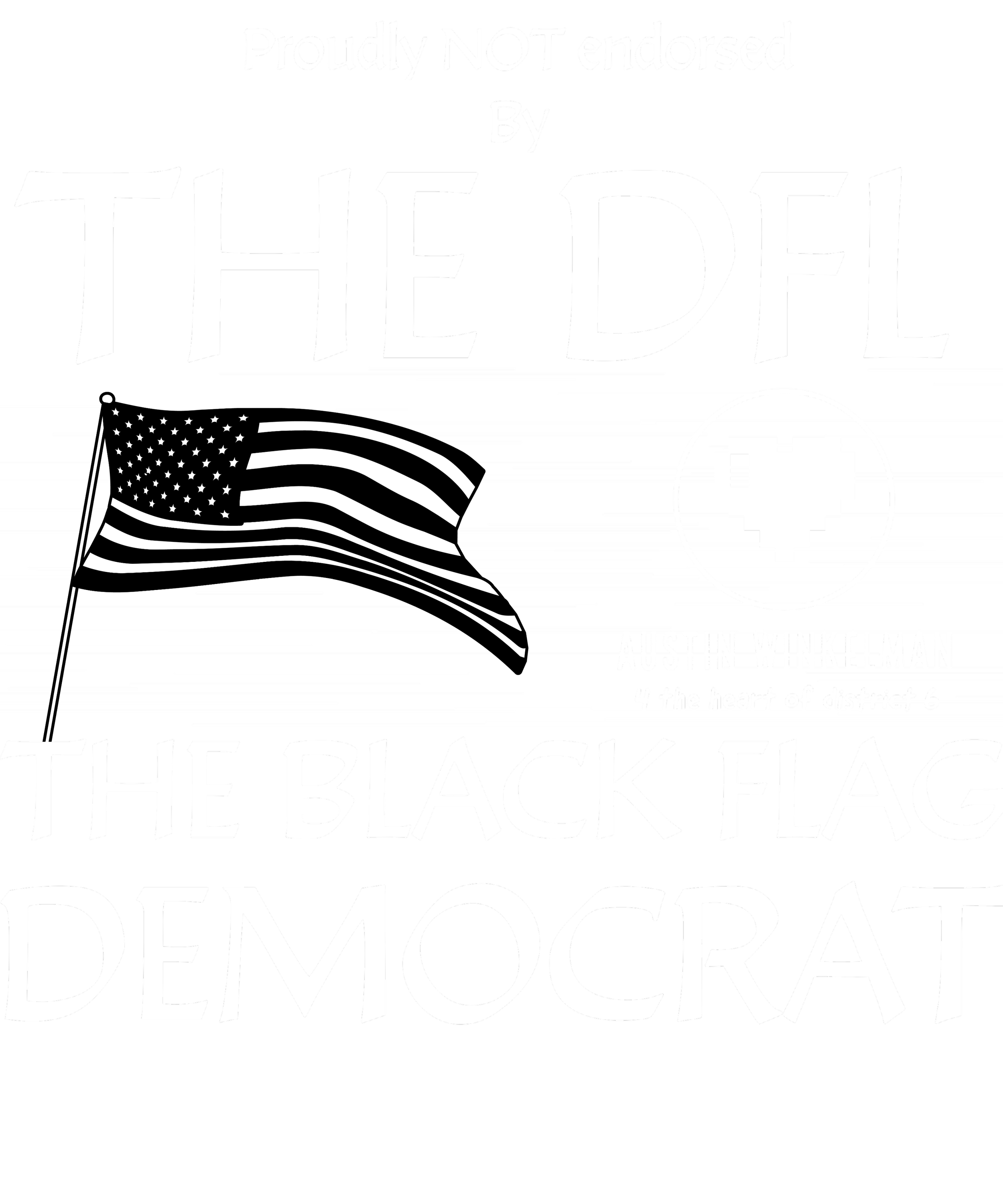 Austin For U.S. Representative Minnesota District 6