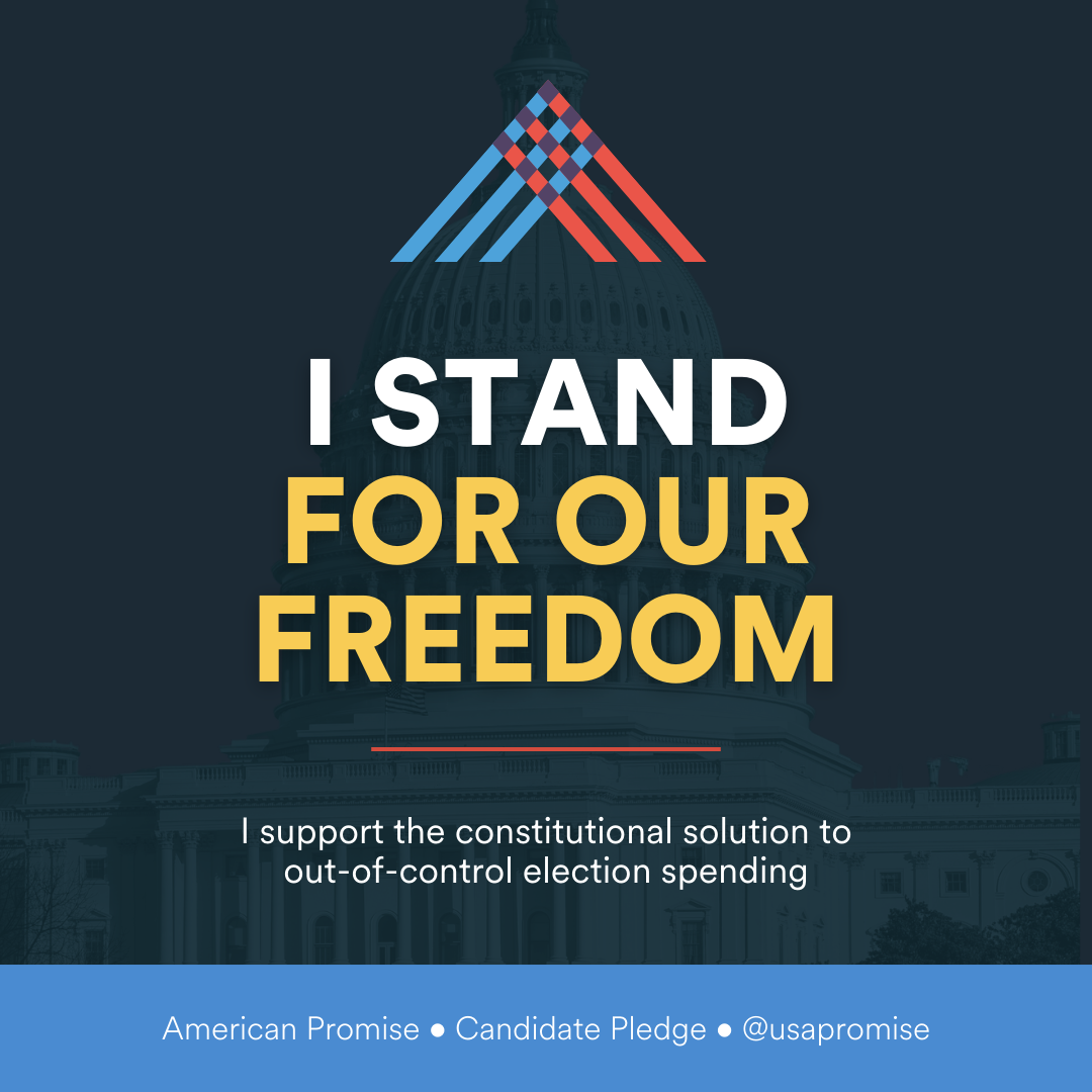 Austin For U.S. Representative Minnesota District 6