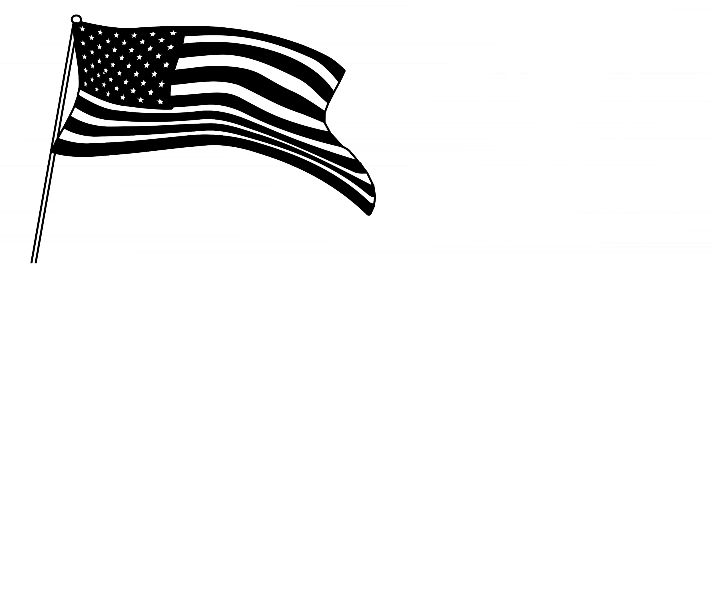 Austin For U.S. Representative Minnesota District 6