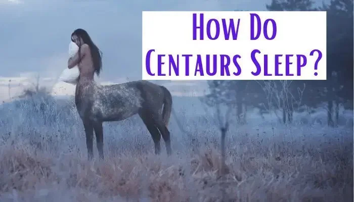 How Do Centaurs Sleep? — Mystic Beasts