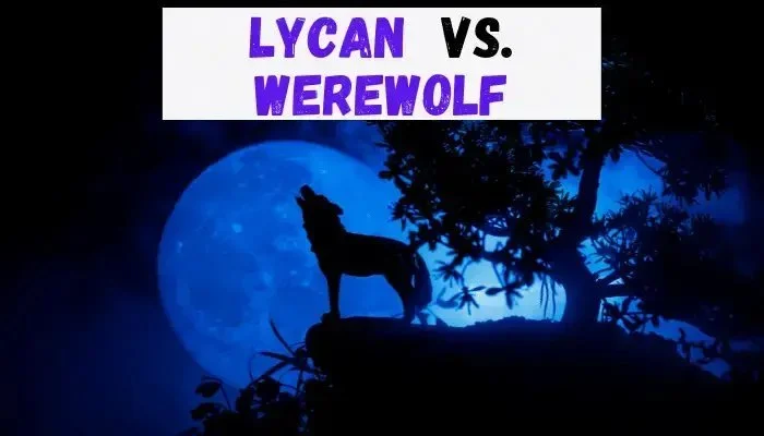 Lycan vs. Werewolf (What's The Difference?) — Mystic Beasts