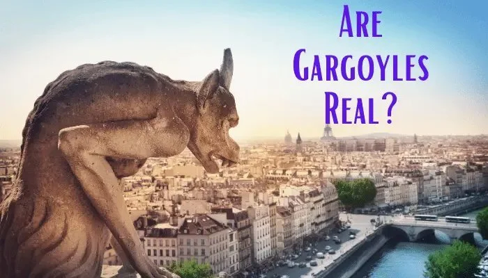 Are Gargoyles Real? — Mystic Beasts