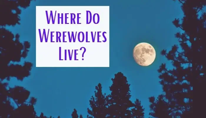 Where Do Werewolves Live? — Mystic Beasts