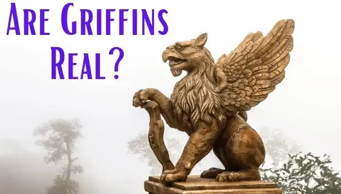 Are Griffins Real? (Do They Exist?) — Mystic Beasts