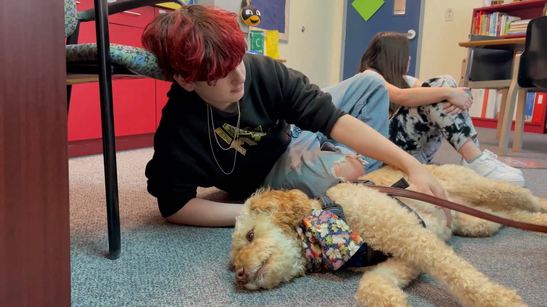 Programs — Intensive Education Academy