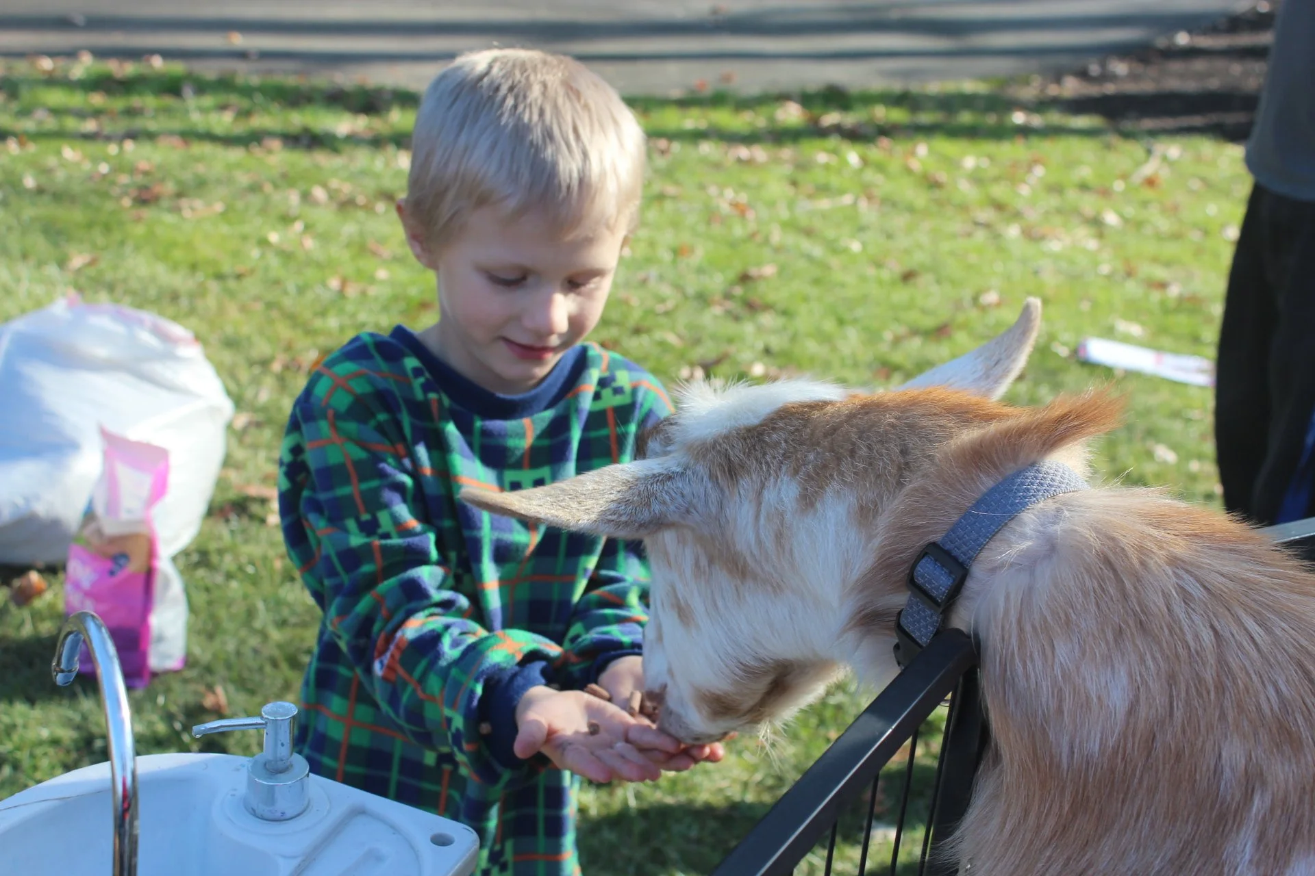 Intensive Education Academy