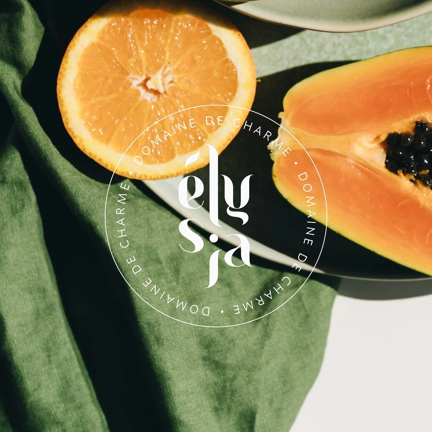 Studio Audace - graphisme et illustration