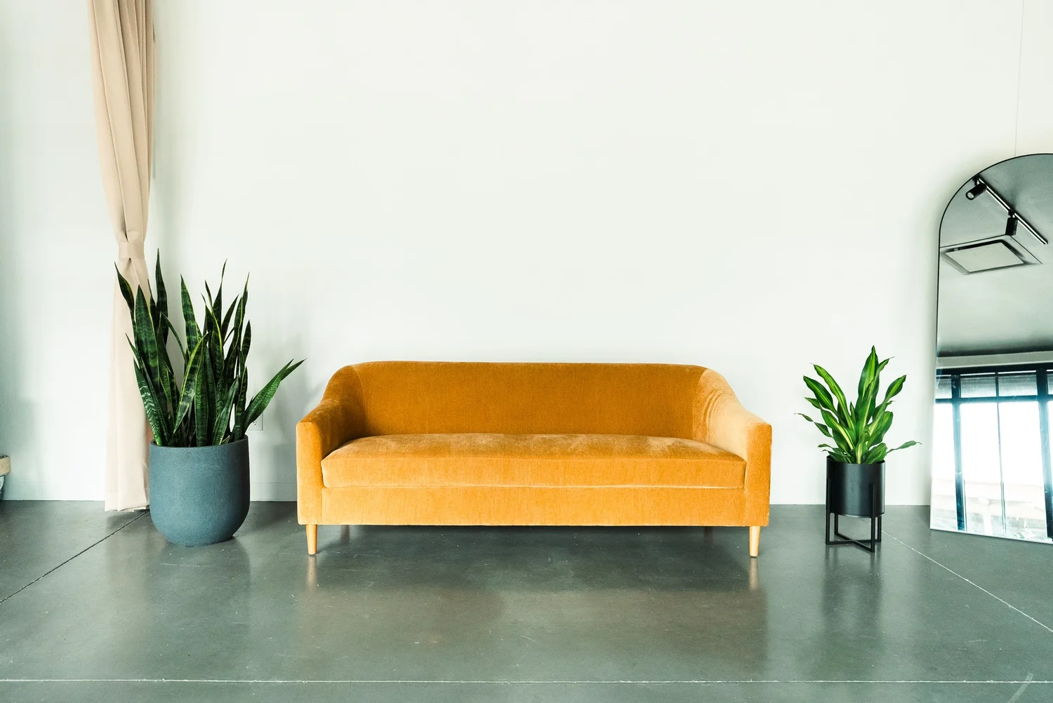 Loyd Studios — Loyd Visuals
