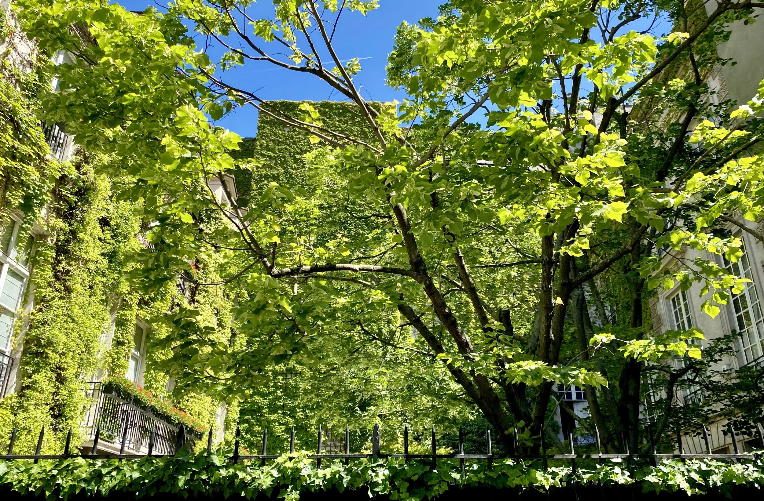 The Better Cities Initiative