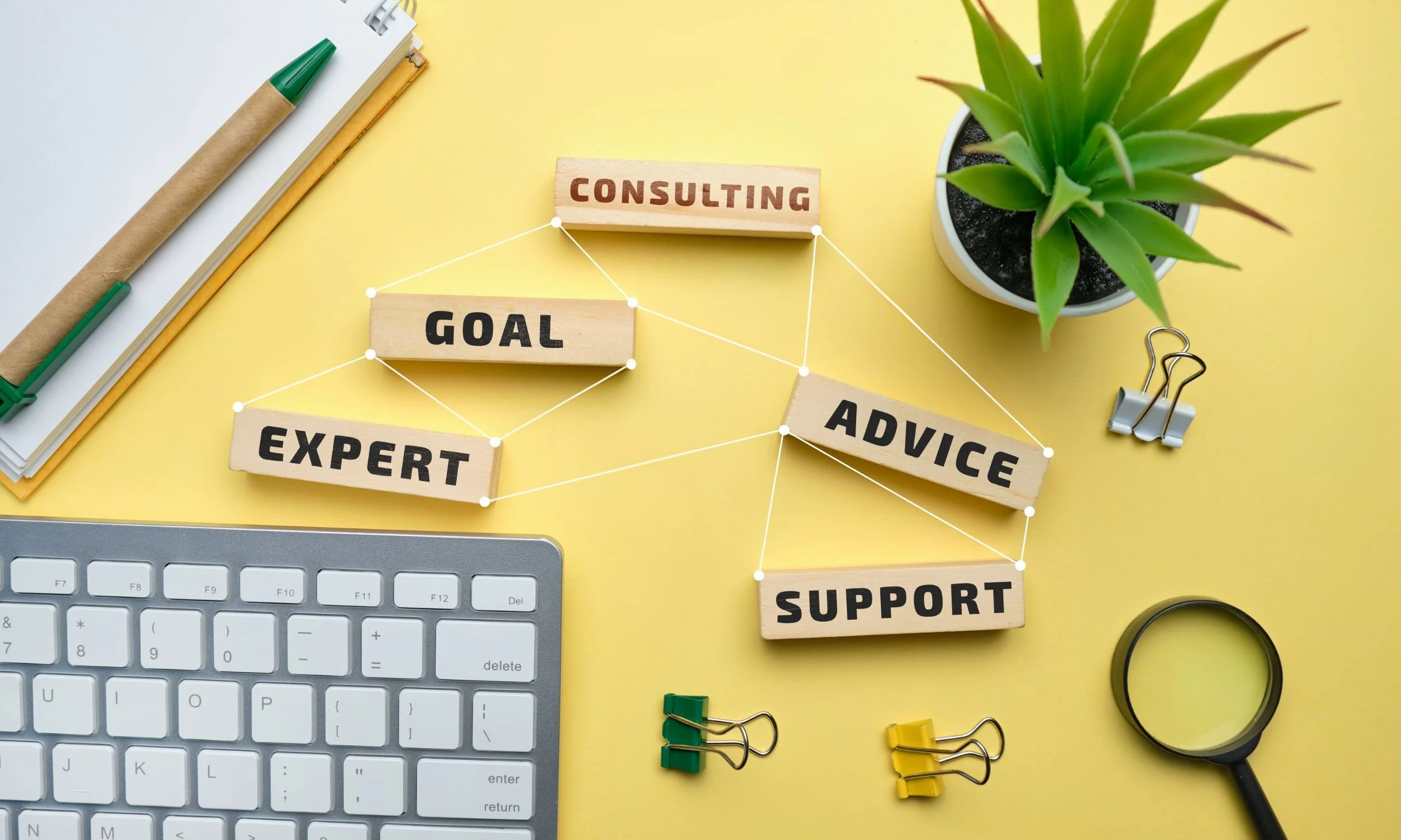 The Inclusive Movement | Disability Inclusion, Advocacy, and Training ...