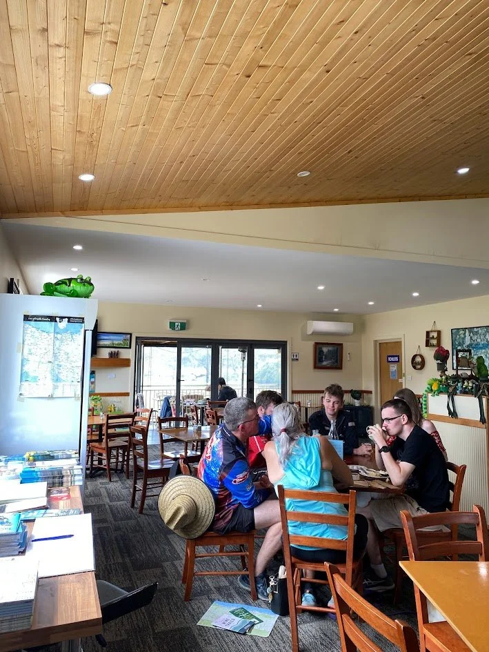 About — The Pondering Frog