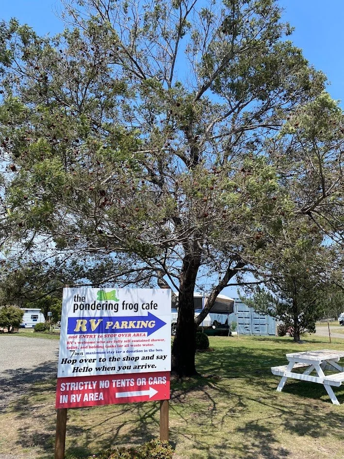 About — The Pondering Frog