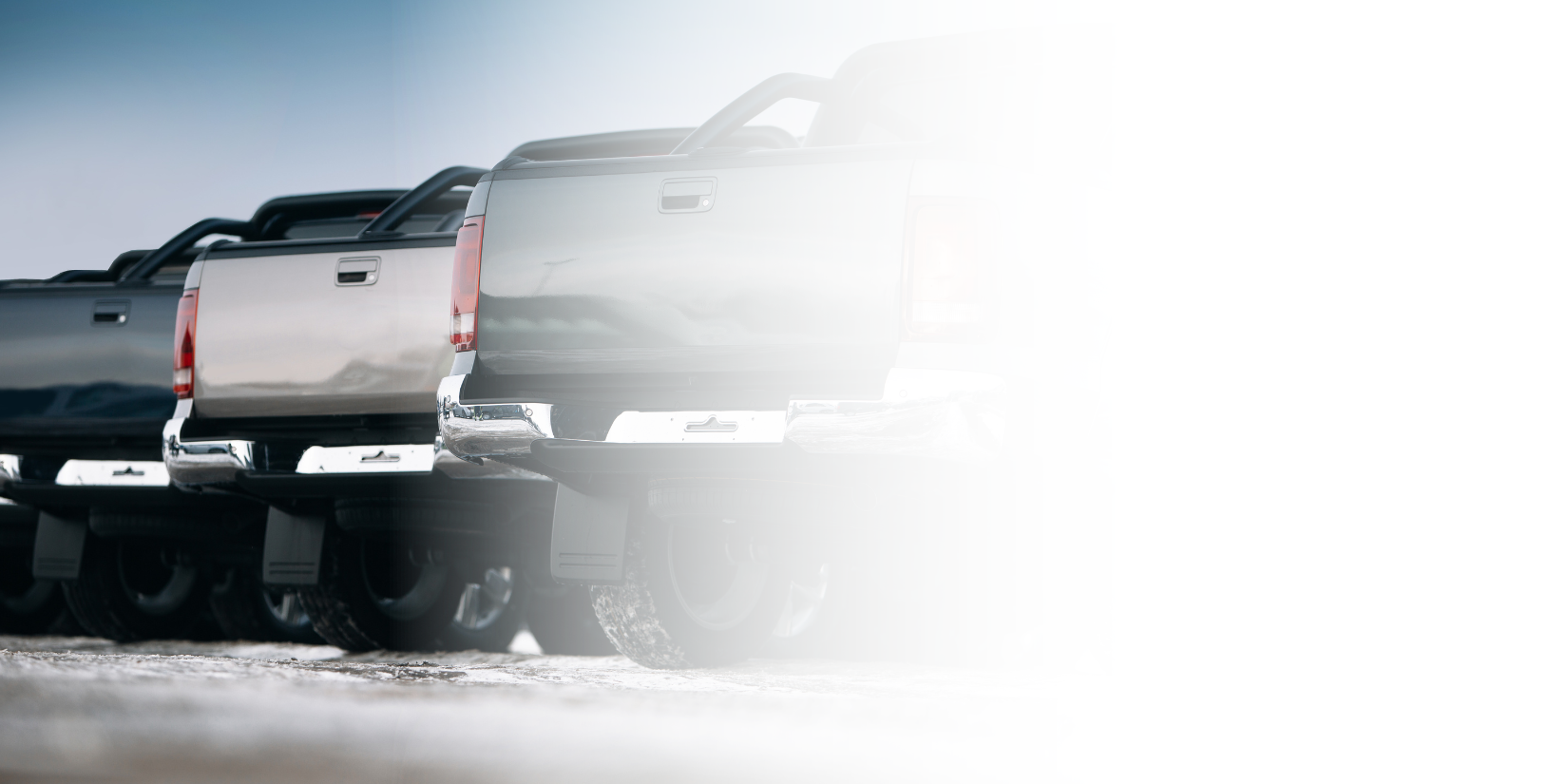 Truck Undercoating Products | Canada - NLS Products — NLS Products