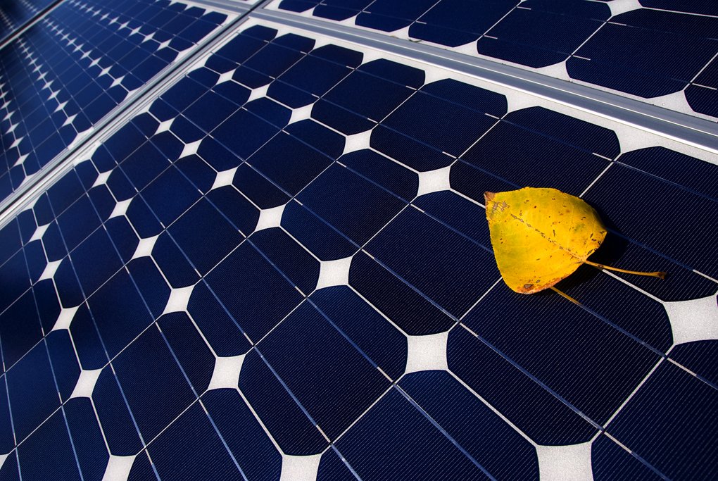 Manufactured Ecosystems