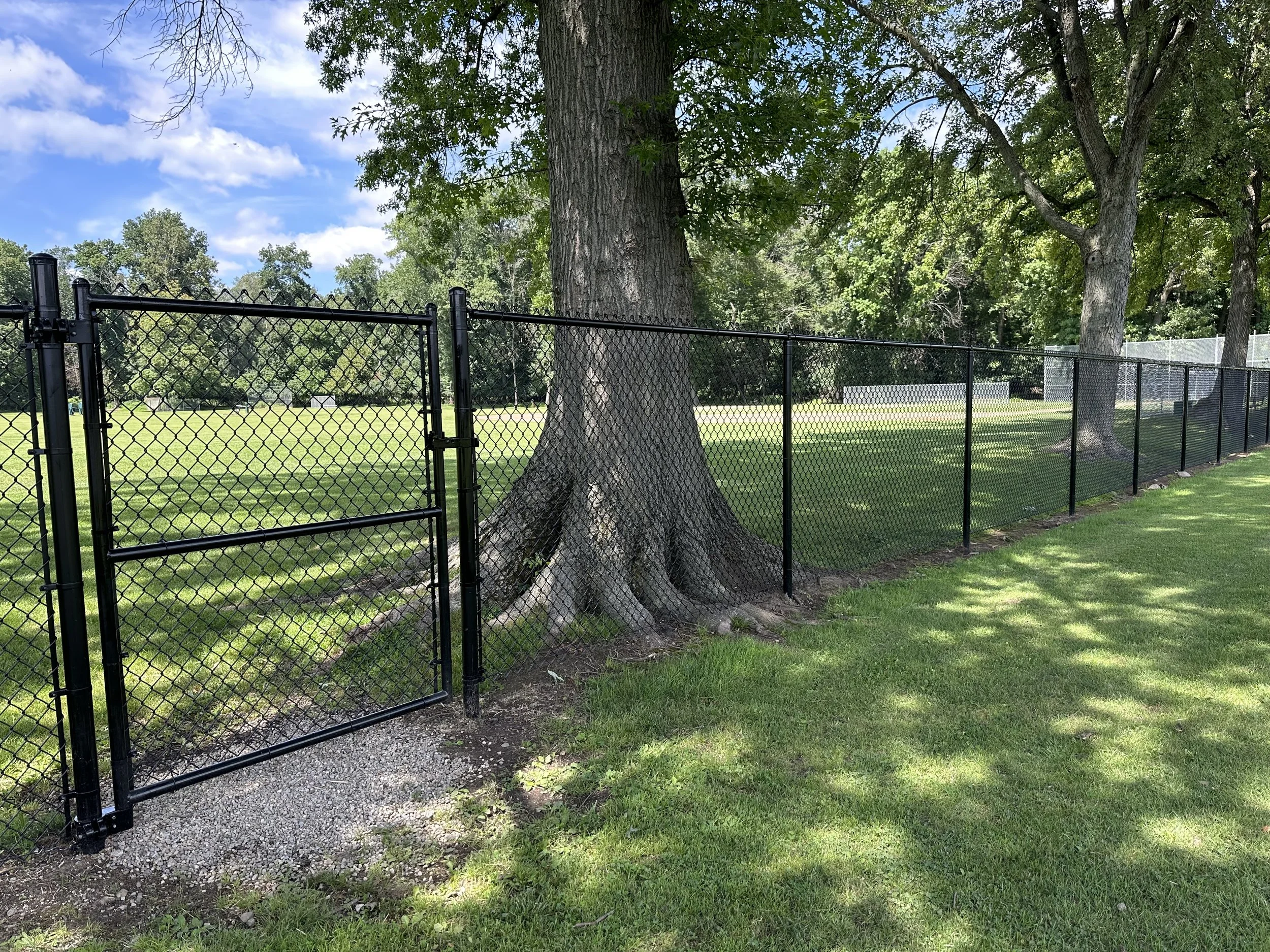 challenger-fence