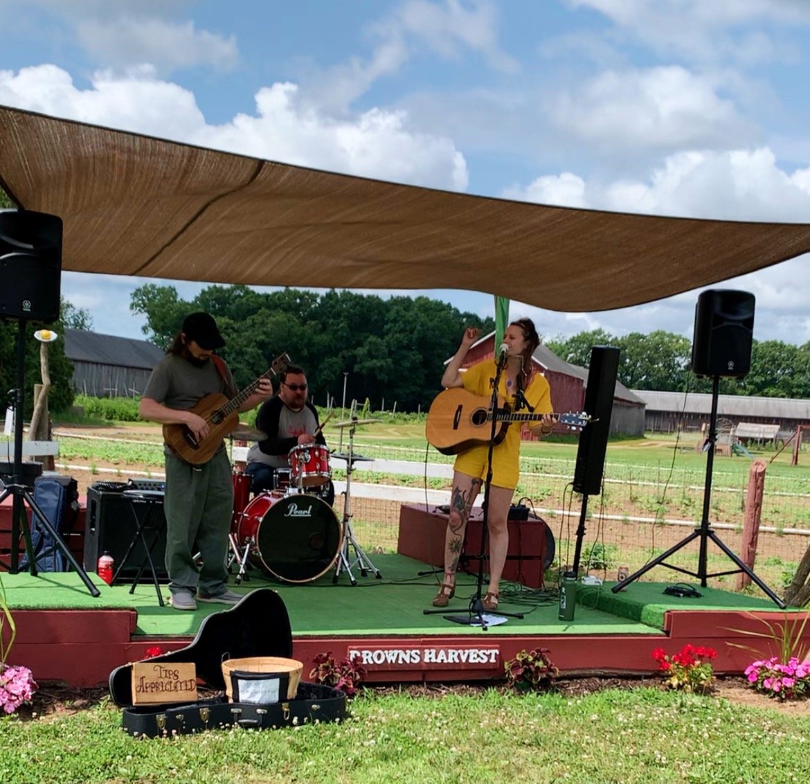 Barrel Train, Gem Mine, Corn maze and More! — brownsharvest