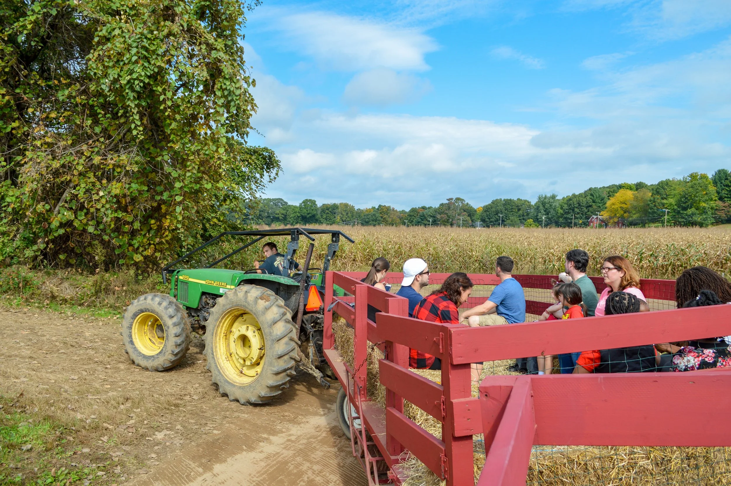 Barrel Train, Gem Mine, Corn maze and More! — brownsharvest