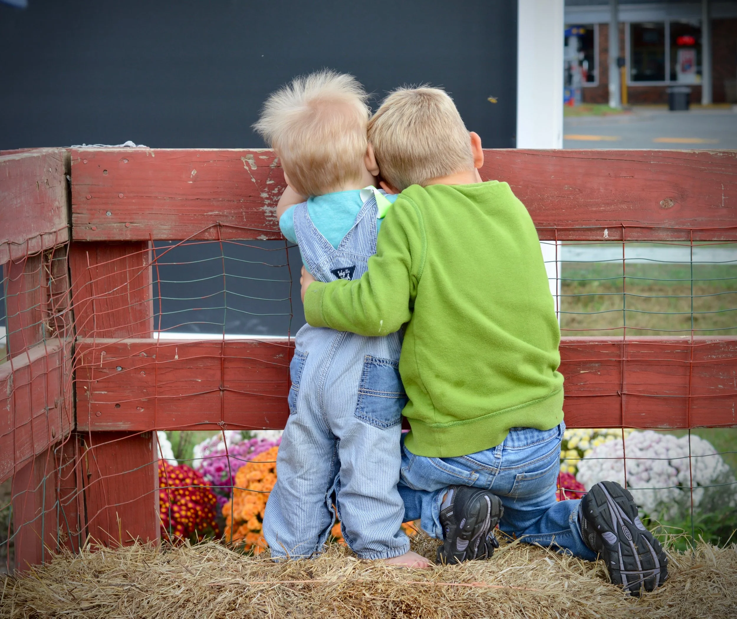 Barrel Train, Gem Mine, Corn maze and More! — brownsharvest