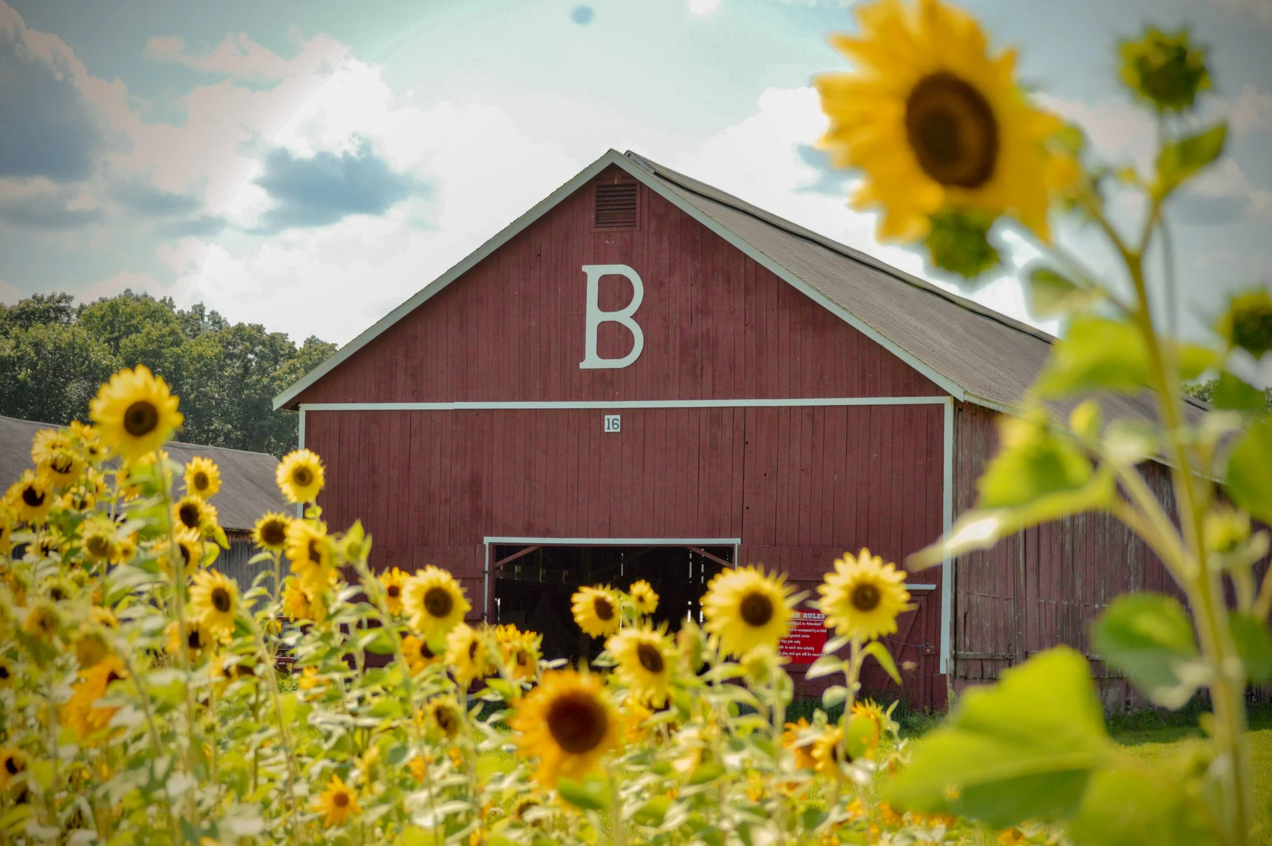 Brown's Harvest Family Farm