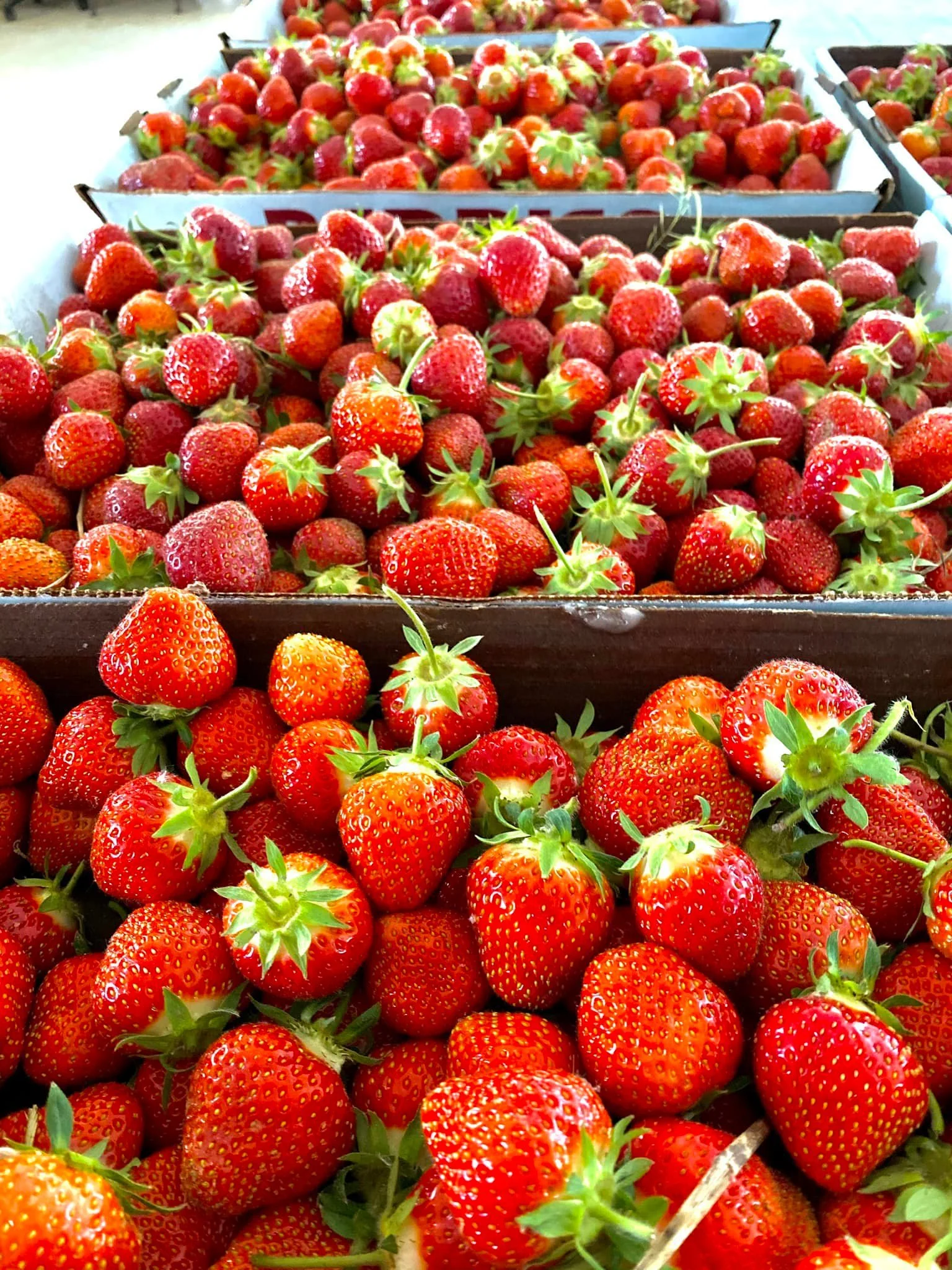 Jam Making Classes — brownsharvest