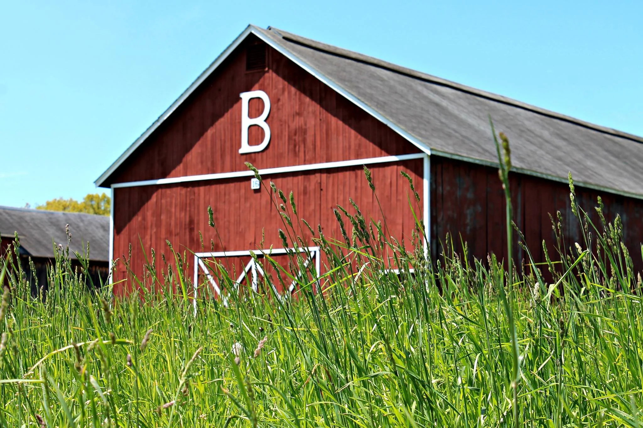 Brown's Harvest Family Farm