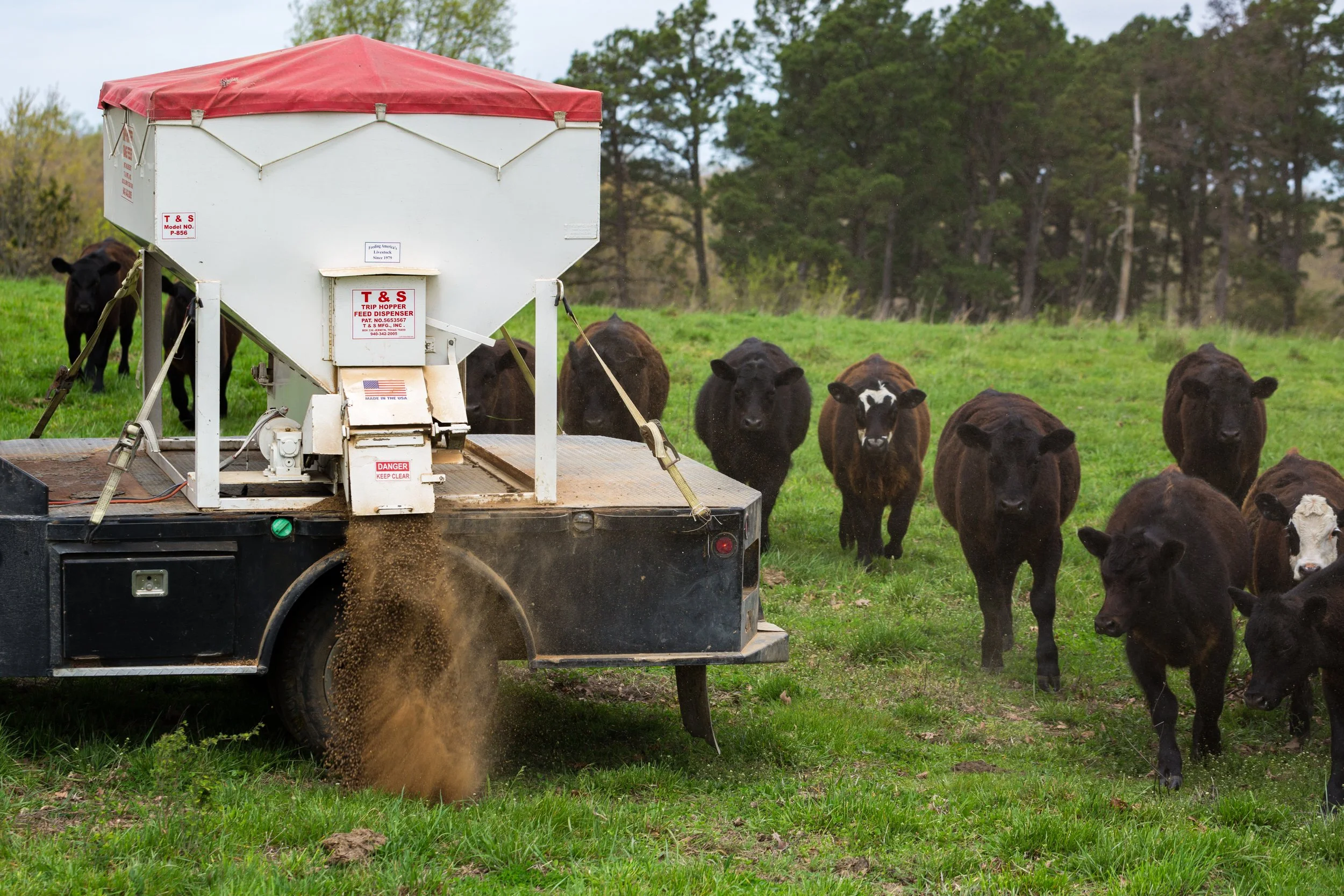 Feeders — Trip Hopper