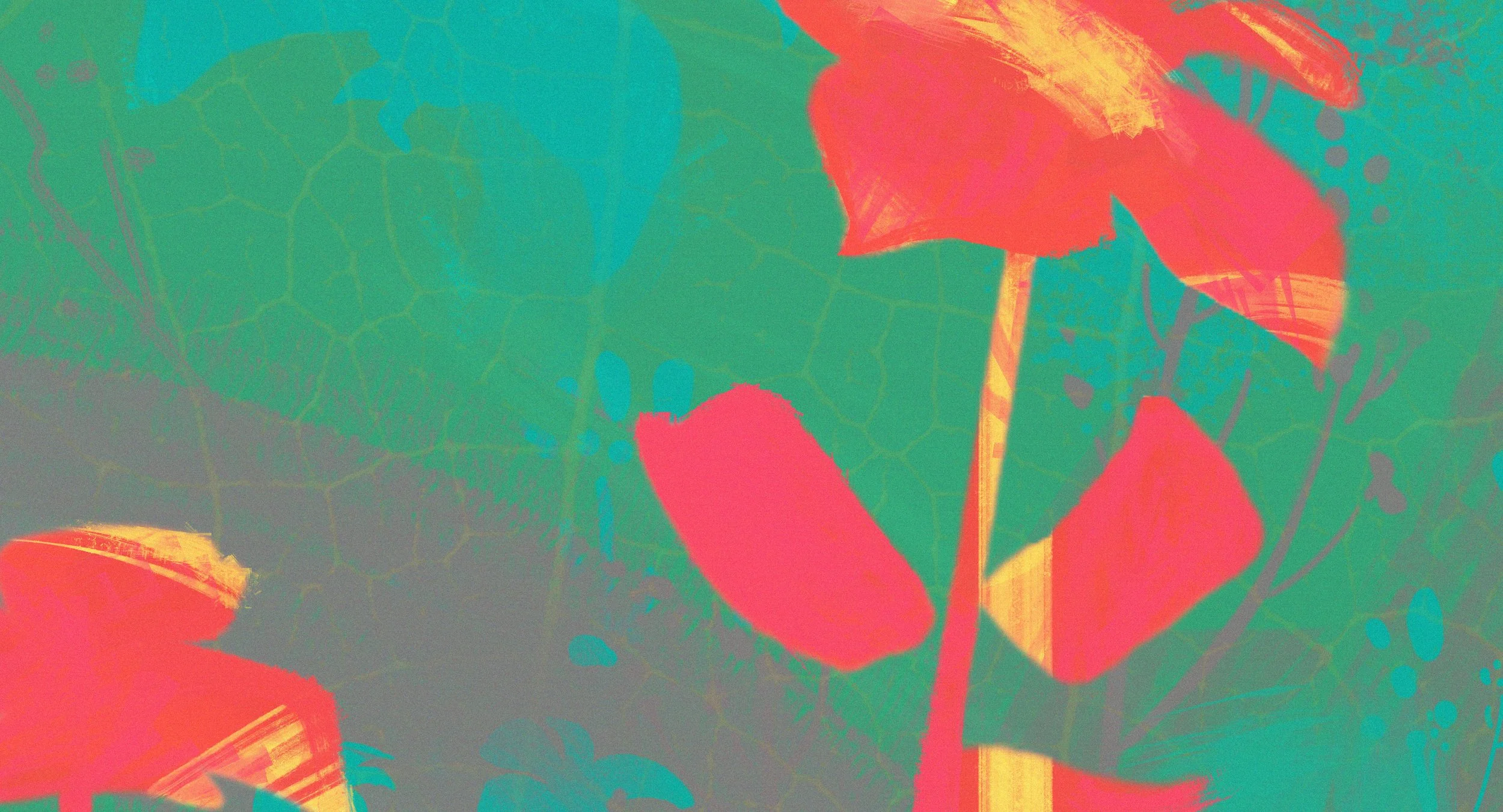 Conference Journal — Solarpunk Conference