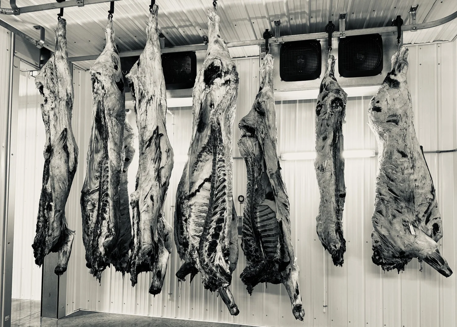 Mountain View Meat | Local butcher | Custom butchering | Star Tannery ...