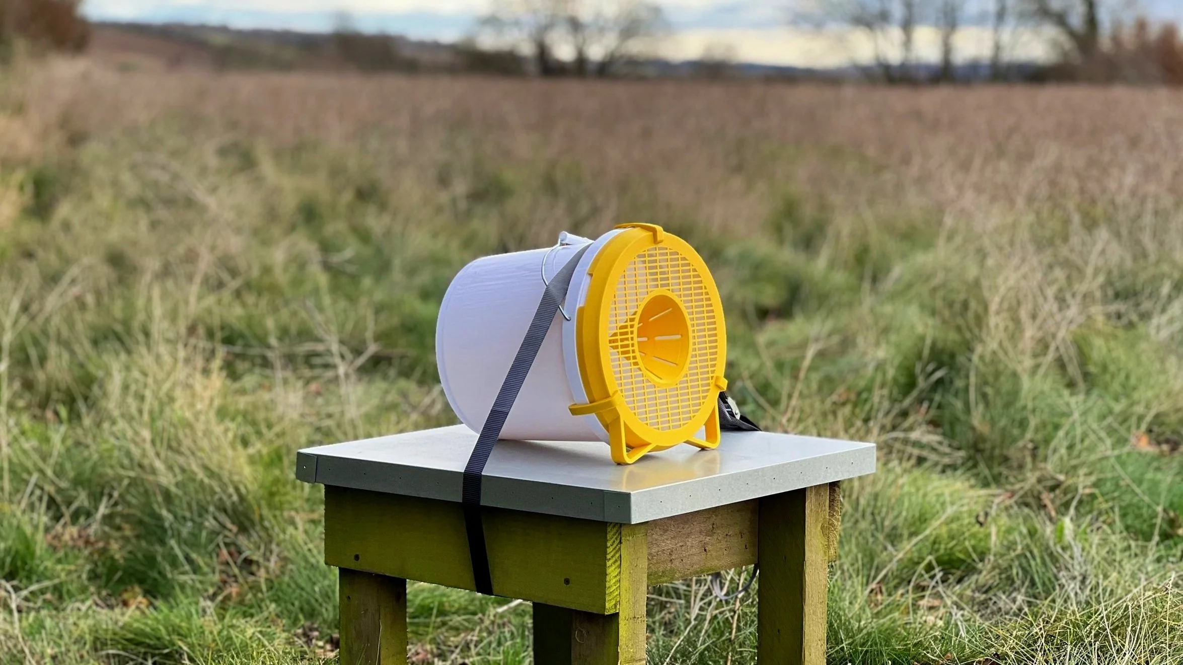 Optimal Asian Hornet Trap Placement Strategies — Apitura Apiculture ...