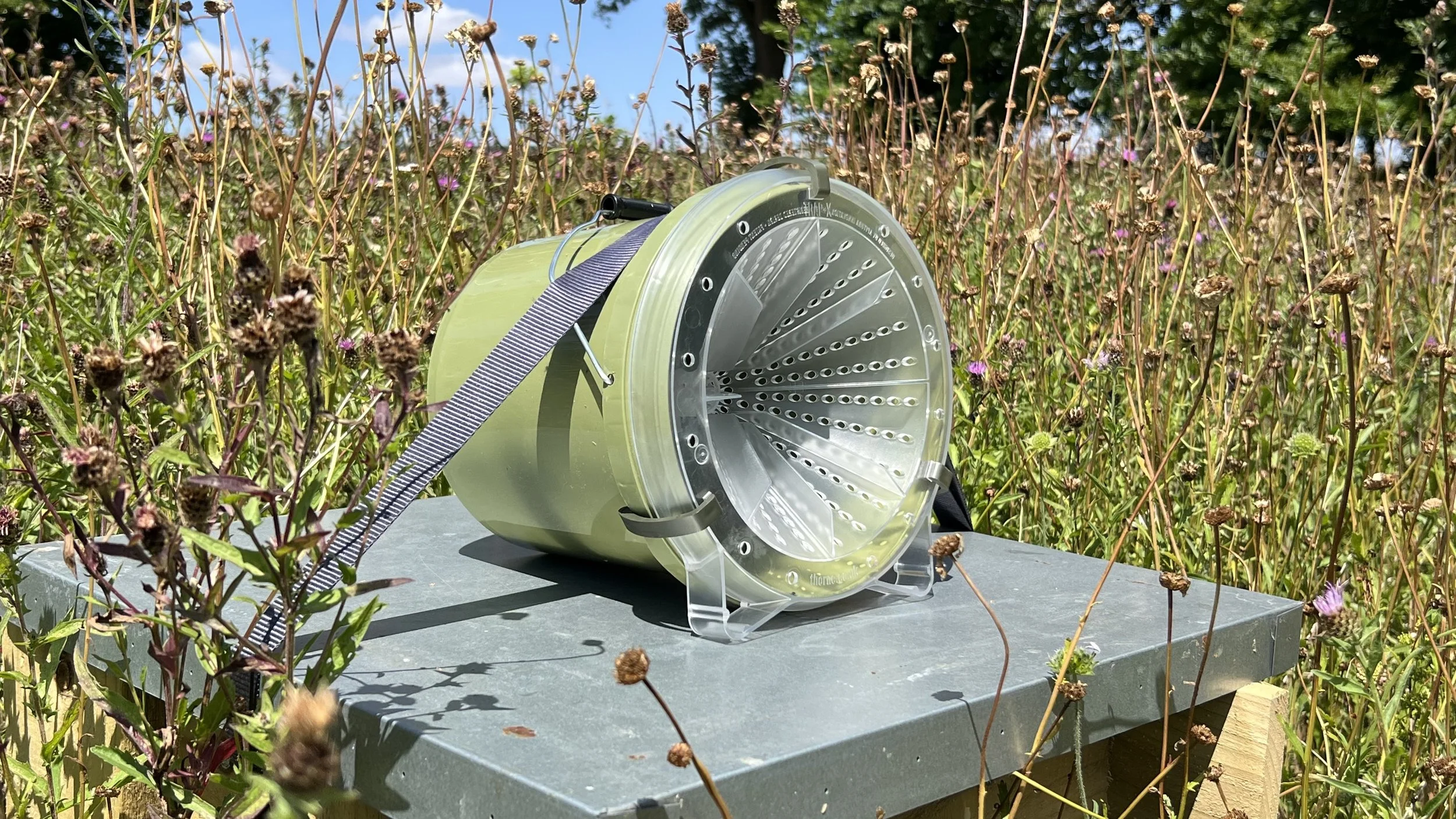 Asian Hornet Trap - TRAP-X® | Tested - Proven - Effective