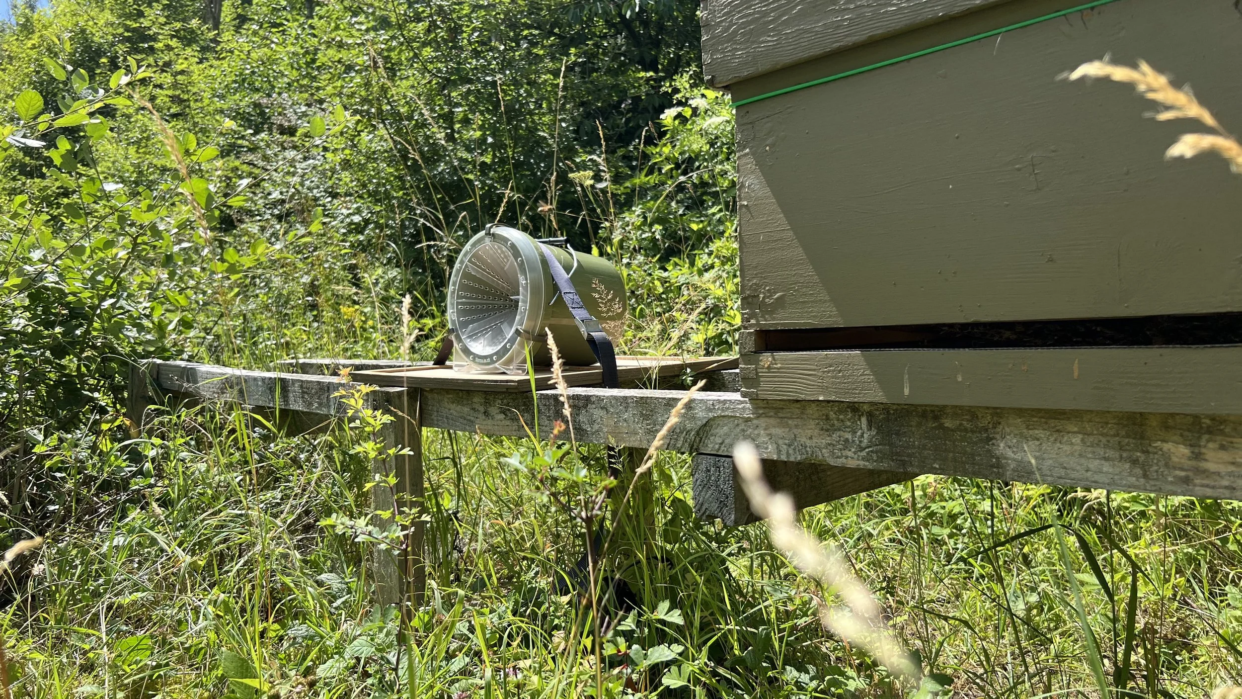 Asian Hornet Trap - TRAP-X® | Tested - Proven - Effective