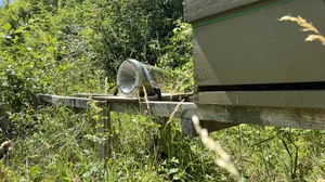 Asian Hornet Trap - TRAP-X® | Tested - Proven - Effective