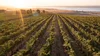Our Story — Precept Wine & Spirits