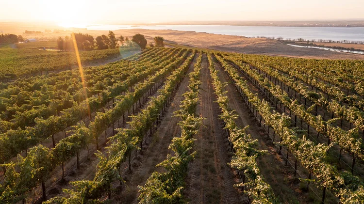 Our Story — Precept Wine & Spirits