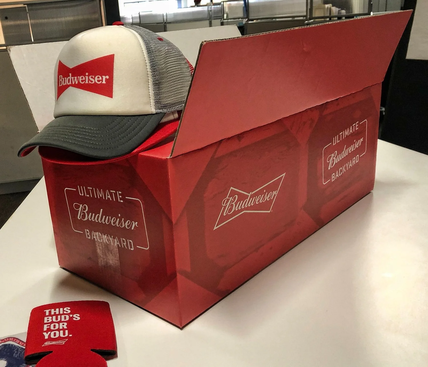 Budweiser Backyard — Blake Eastwood Creative