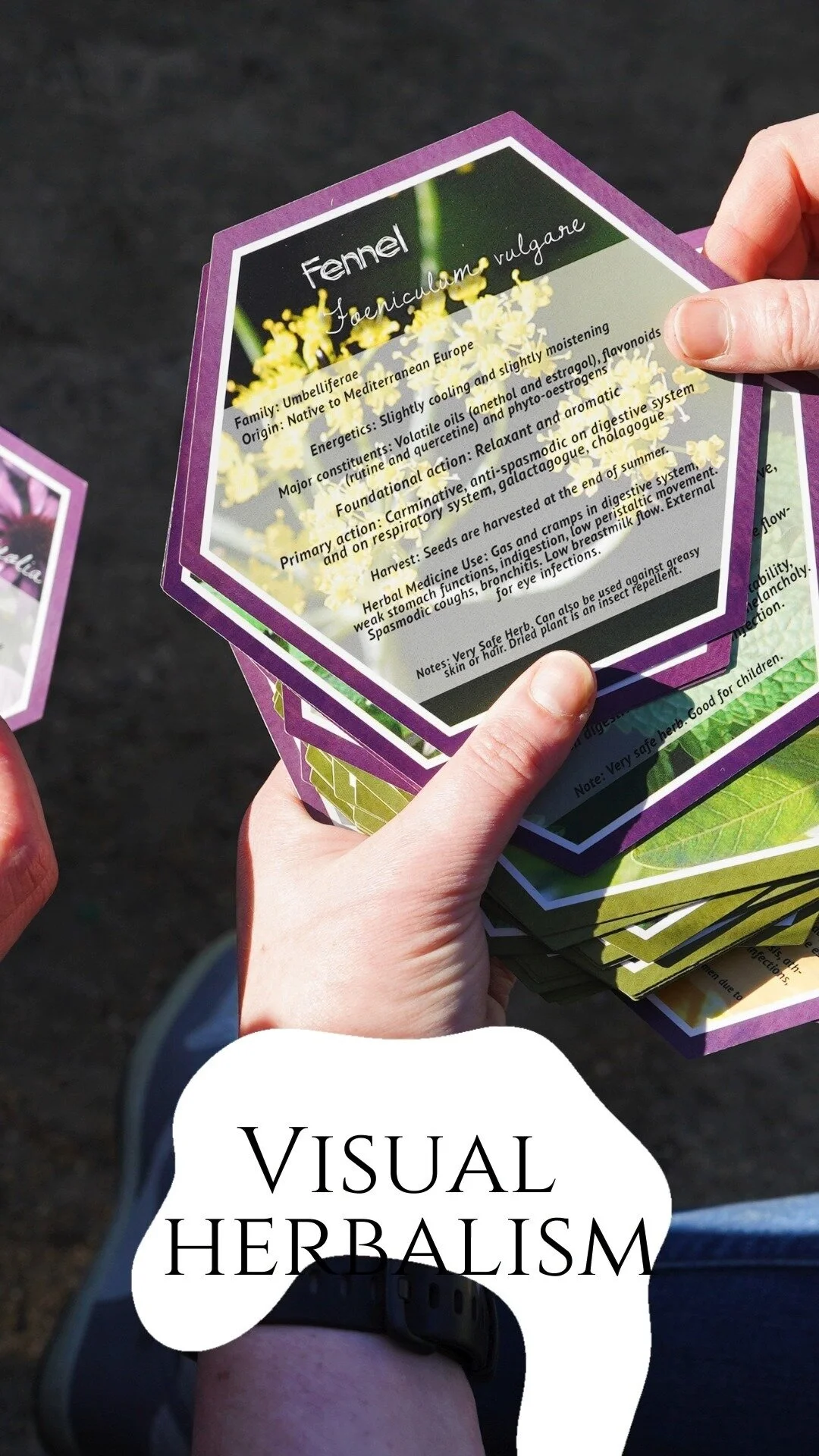 Online Ecosystem — Botanical Education