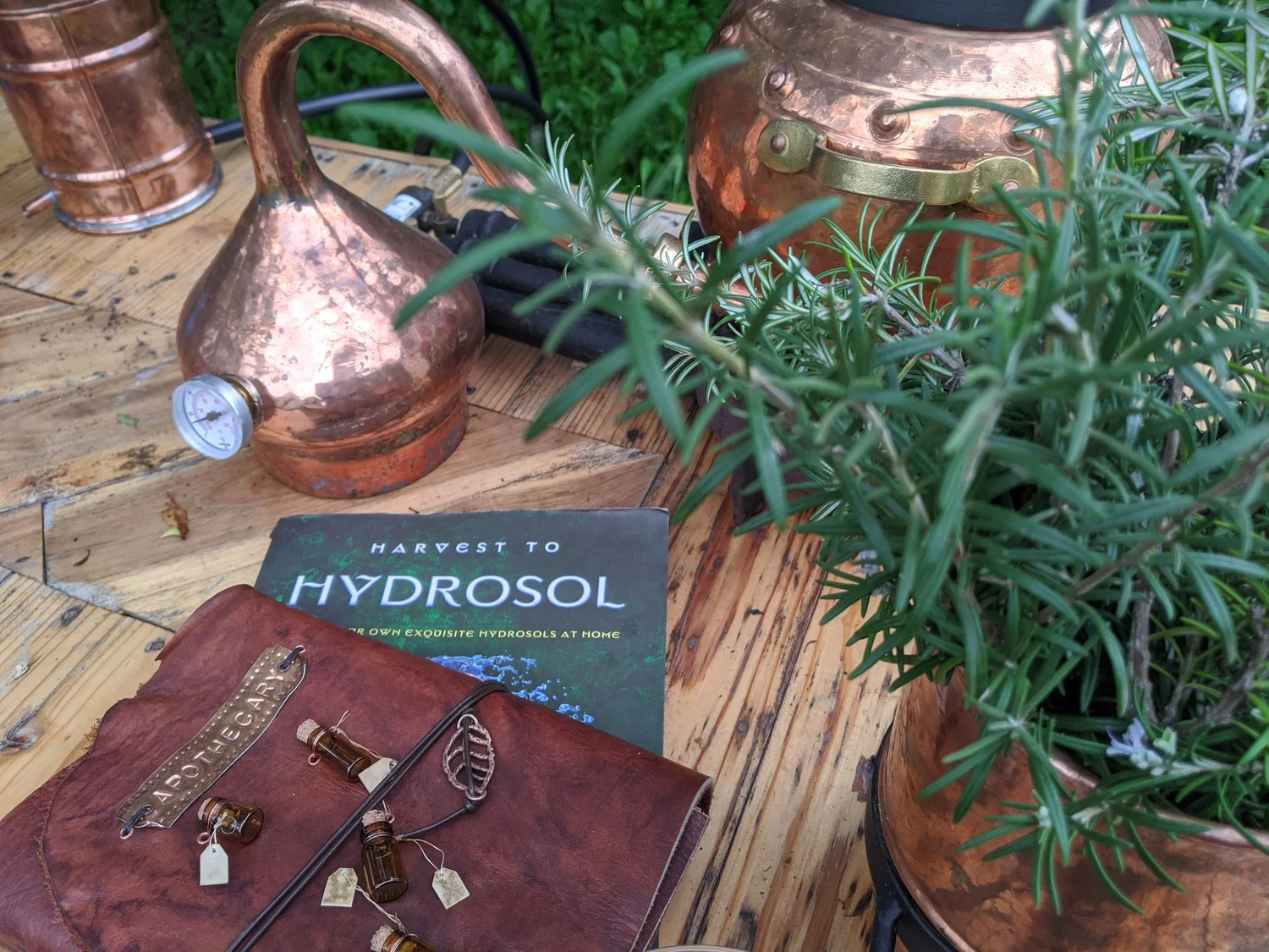 Workshops & Courses — Botanical Education