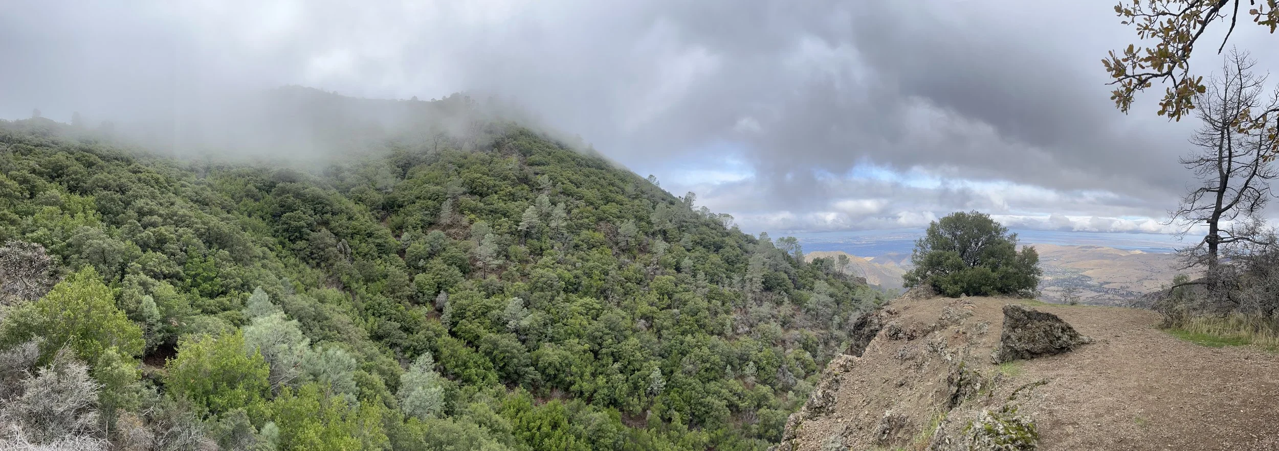 Mount Diablo Hiking Information (Verified, Official) — Diablo Hike & Drinks