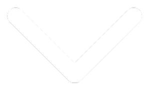 Auditorium Reimagined — BOK