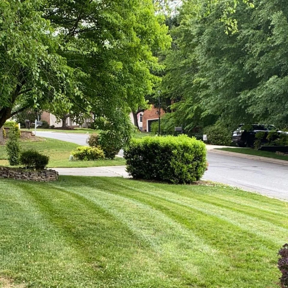 JD Lawncare & Landscaping LLC