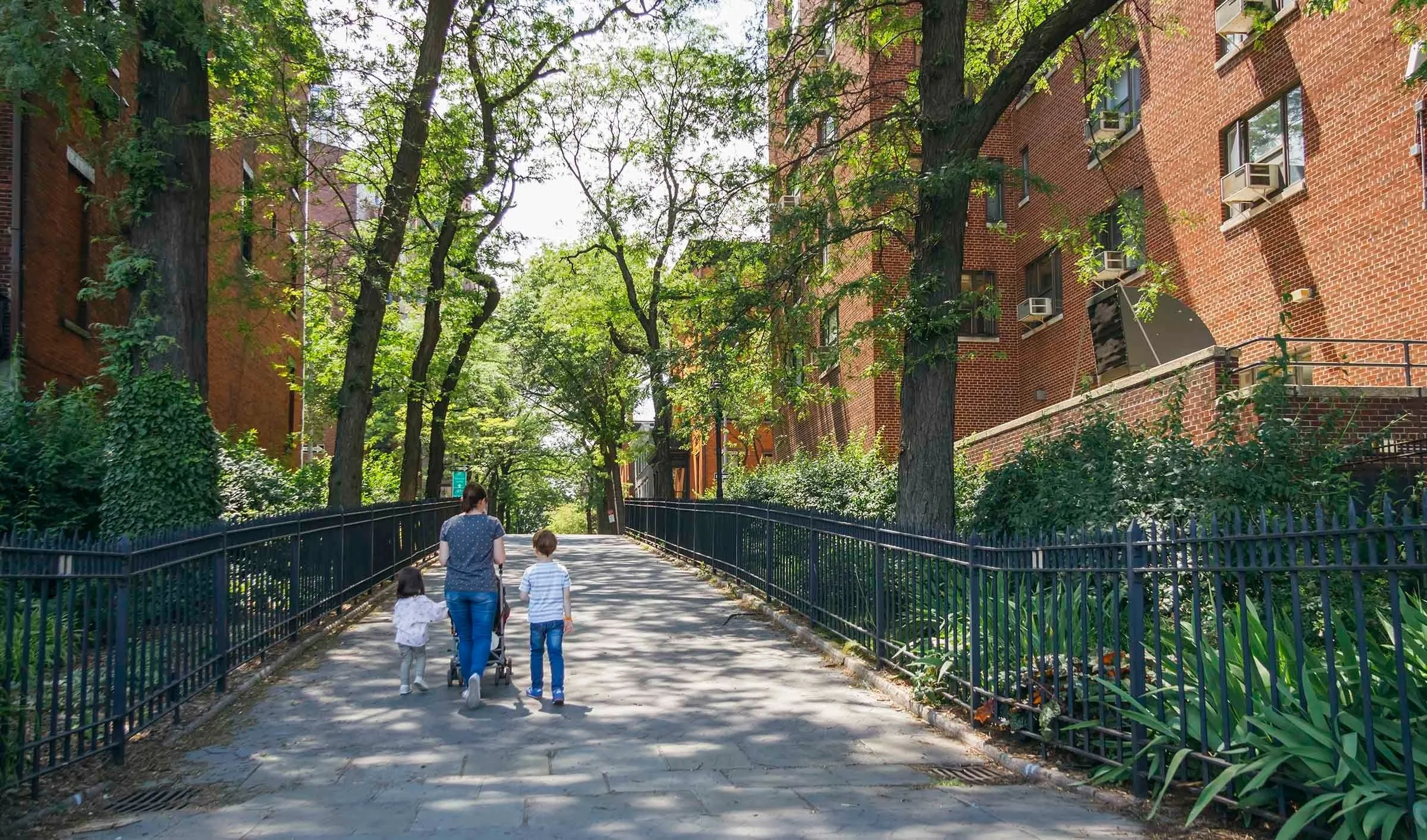 About The Trust — New York City Public Housing Preservation Trust