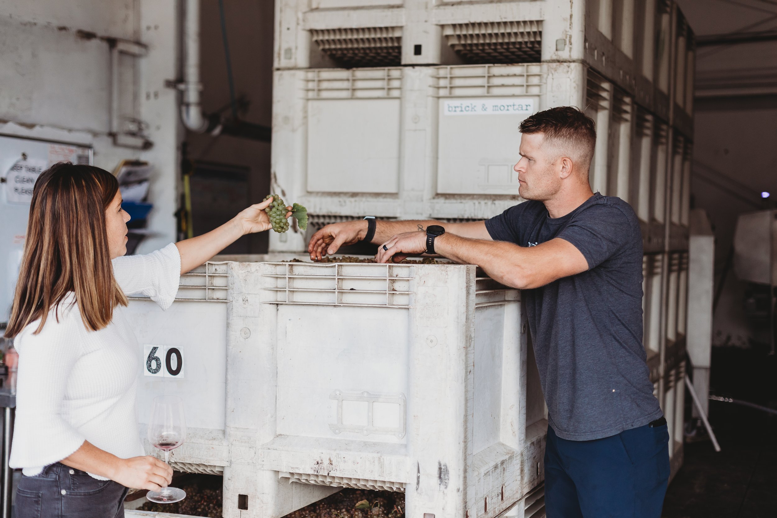 Our Journey Into Winemaking — brick & mortar wines